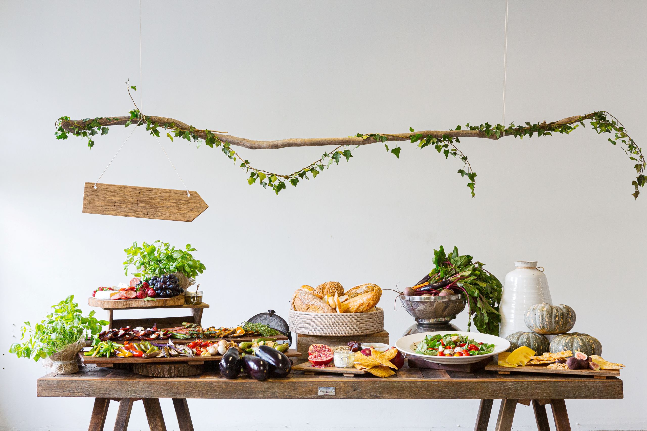 How Does Food Impact Your Quality of Life - Sage and Sirius
