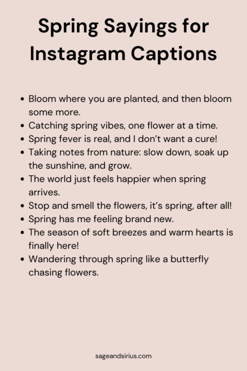 75+ Spring Quotes for Vision Boards and Instagram - Sage and Sirius