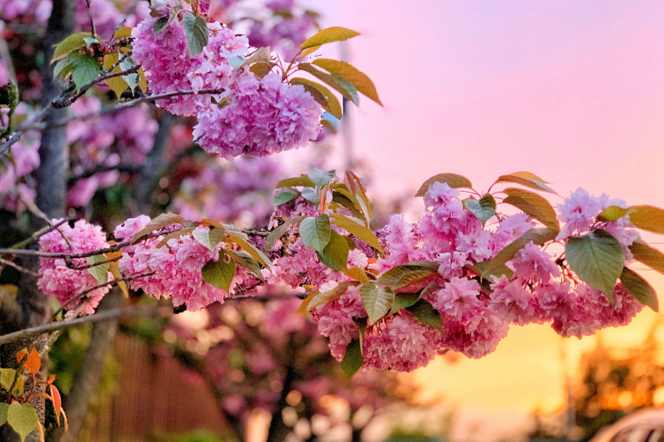 75+ Spring Quotes for Vision Boards and Instagram - Sage and Sirius